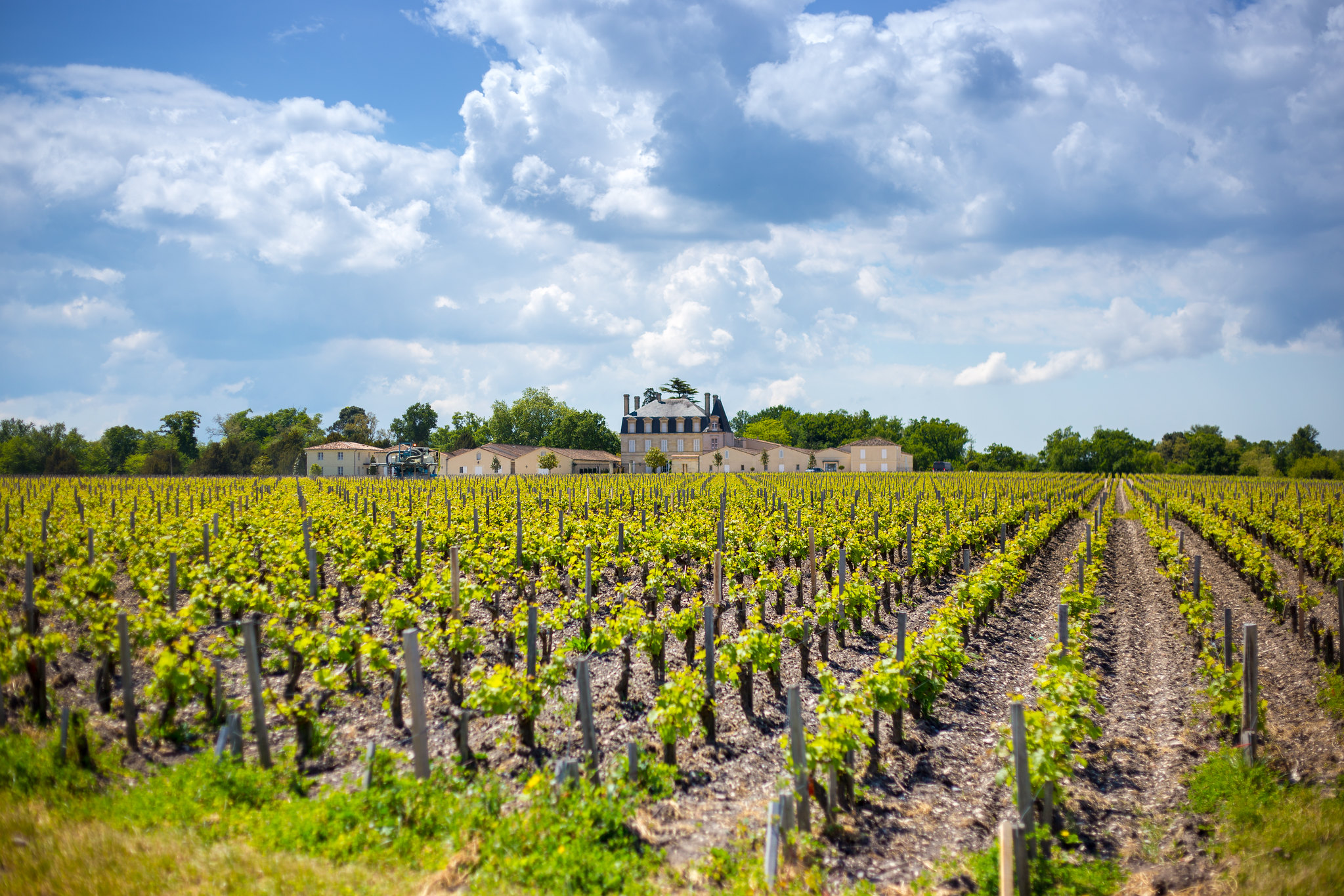Médoc | Bordeaux Turismo